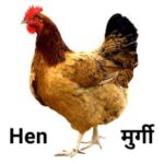 abcd Chart, 1st 2nd 3rd 4th abcd | ABCD English Alphabet in Hindi ...