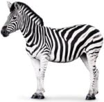 abcd Chart, 1st 2nd 3rd 4th abcd | ABCD English Alphabet in Hindi ...